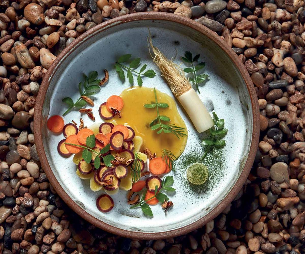 2 Turkish Recipe Ideas From The Best Chefs!